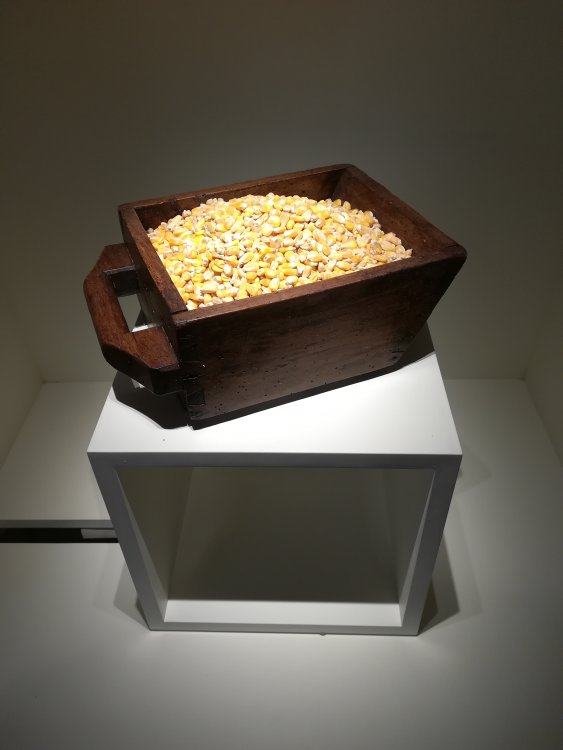 Celemin | Laboratorium Bergara Zientzia Museoa